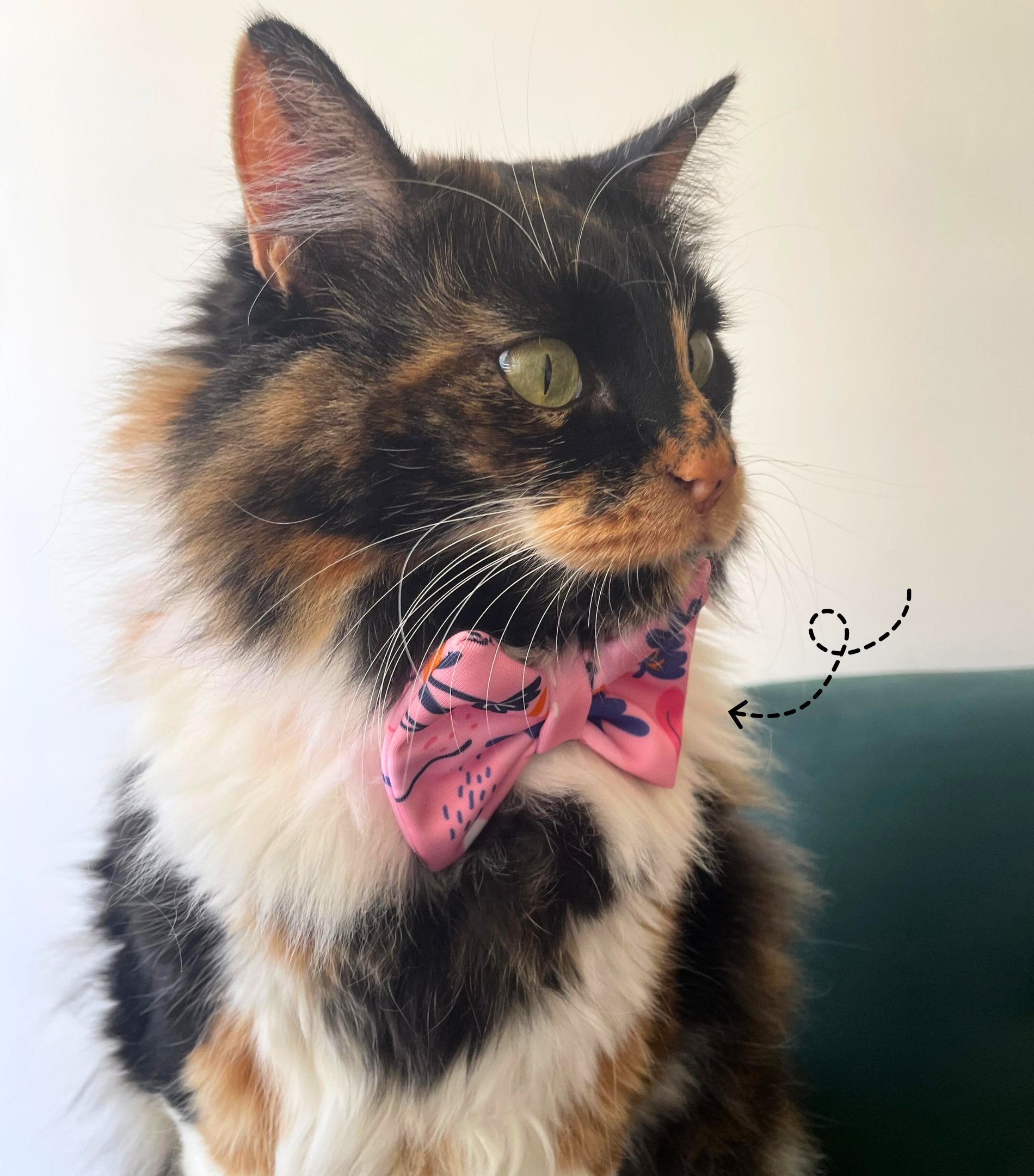 Conjuntos para perros y gatos | Collar, bandana y corbatín | BySimona ...