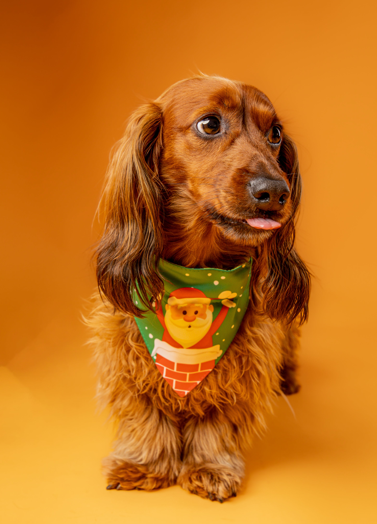 By Simona – www.bysimona.cl