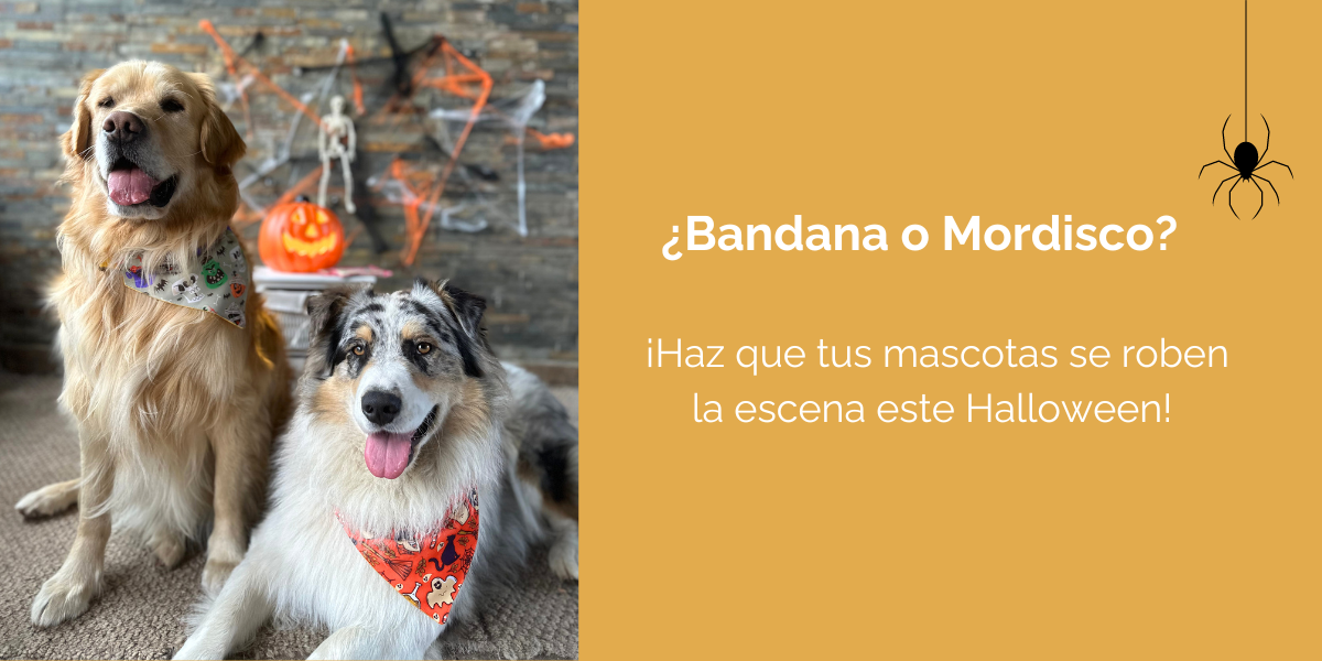 By Simona – www.bysimona.cl